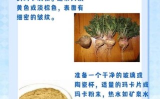 玛卡泡水喝的功效与作用_玛卡泡水喝的正确方法