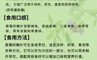 苜蓿是什么_苜蓿的营养价值有哪些