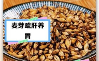 麦芽的功效与作用有哪些_麦芽怎么吃效果最好