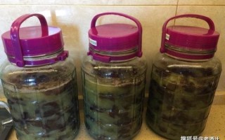 自酿葡萄酒的做法_家庭自酿葡萄酒全过程视频