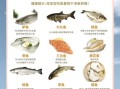 鱼类dha含量排名表_孕妇吃哪种鱼补dha最好