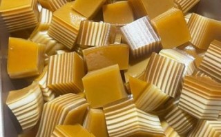 千层椰汁马蹄糕怎么做_马蹄糕失败原因