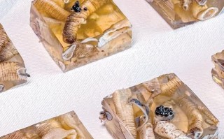 土笋冻原料有哪些_土笋冻用什么虫子做