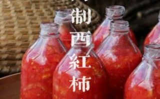 西红柿酱怎么炒_西红柿酱炒多久才好吃