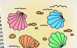 贝壳简笔画怎么画_贝壳简笔画步骤