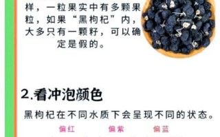 黑枸杞的作用与功效有哪些_黑枸杞泡水喝的正确方法