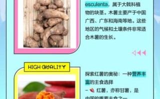 木薯和红薯的区别_哪个更有营养