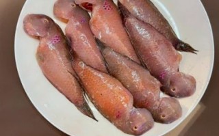 鹦哥鱼怎么做好吃_鹦哥鱼清蒸还是红烧
