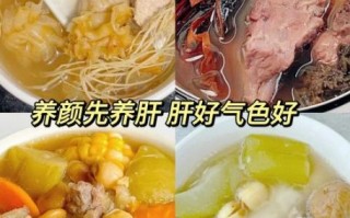 养肝汤的做法大全_养肝汤怎么煲最养肝 养肝汤的做法大全_养肝汤怎么煲最养肝