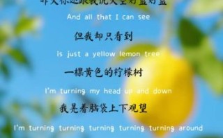 柠檬树歌词含义是什么_柠檬树表达了什么情感