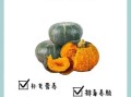 南瓜的功效与作用_南瓜的副作用有哪些