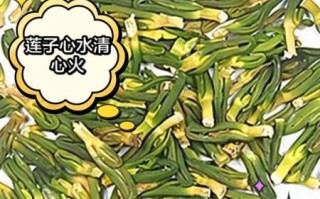 莲子心泡水有什么好处_莲子心泡水能天天喝吗
