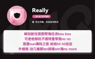 泡菜网音译网怎么用_泡菜音译歌词在哪找