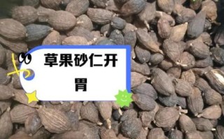 草果长什么样_草果和砂仁的区别