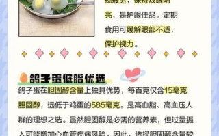 鸽子蛋和鸡蛋哪个营养高_鸽子蛋和鸡蛋营养价值对比