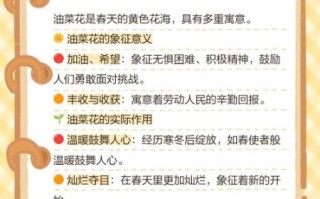 油菜花的花语是什么_油菜花适合送什么人