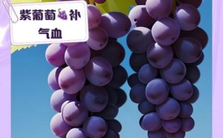 紫葡萄的功效与作用_吃紫葡萄能美白吗