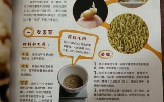 麦芽糖怎么做_麦芽糖的制作方法