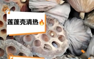 莲蓬可以生吃吗_生吃莲蓬的好处与风险