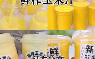 鲜榨玉米汁怎么做_鲜榨玉米汁的做法大全 鲜榨玉米汁怎么做_鲜榨玉米汁的做法大全