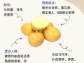 马铃薯什么时候种_马铃薯怎么种才高产