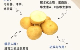 马铃薯什么时候种_马铃薯怎么种才高产