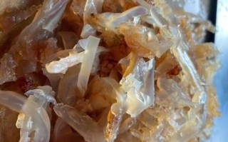 家常凉拌海蜇怎么做_海蜇要不要焯水