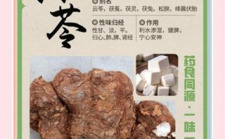 茯苓的功效与作用及禁忌是什么_茯苓怎么吃才安全