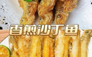 沙丁鱼怎么做好吃_沙丁鱼家常做法视频