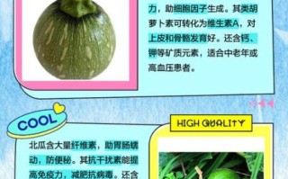 北瓜和南瓜是一种瓜吗_区别与真相