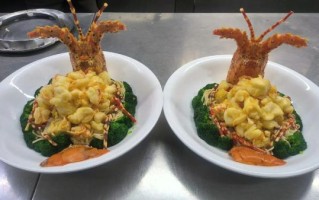 花龙虾和青龙虾的区别_哪个更好吃