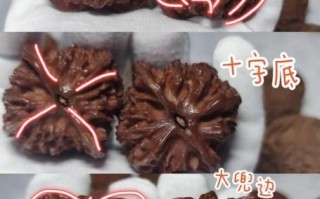 闷尖狮子头是什么_如何挑选正宗闷尖狮子头