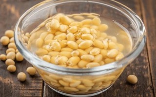 黄豆泡多久可以打豆浆_干豆直接打豆浆行不行