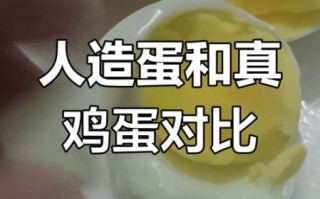 人造蛋和鸡蛋的区别图片_如何一眼分辨真假