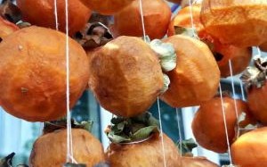 自家柿子怎么做柿饼_家庭自制柿饼详细步骤