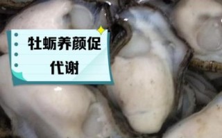 牡蛎肉的功效与作用_牡蛎肉怎么吃最营养
