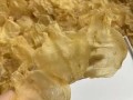 花胶和鱼肚的区别_花胶与鱼肚哪个更营养