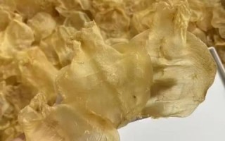 花胶和鱼肚的区别_花胶与鱼肚哪个更营养