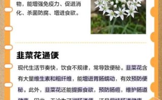 韭菜花补肾吗_韭菜花的功效与作用