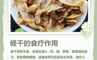 蛏干的功效与作用_蛏干怎么吃最补