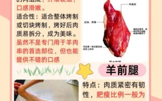 烤羊肉串买哪个部位的肉_羊腿肉还是羊肩肉