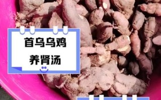 何首乌怎么吃才黑发_何首乌黑发正确吃法