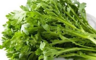 蓬蒿和茼蒿的区别_蓬蒿图片怎么识别