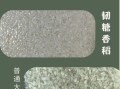 香米和普通大米区别_香米怎么选