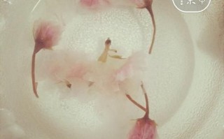 樱花布丁怎么做_樱花布丁需要哪些材料 樱花布丁怎么做_樱花布丁需要哪些材料