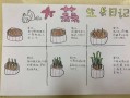 四年级蒜苗生长过程怎么写_观察日记格式