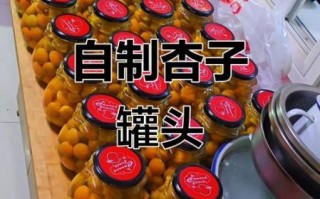 杏罐头怎么做_杏罐头家庭自制方法