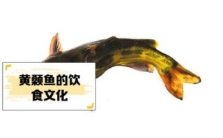葛鱼的学名叫什么_葛鱼与黄颡鱼的区别
