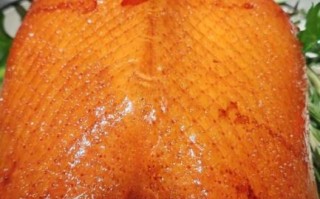 脆皮鸭是什么梗_脆皮鸭文学起源