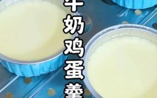 牛奶炖蛋怎么做好吃_牛奶炖蛋的秘诀